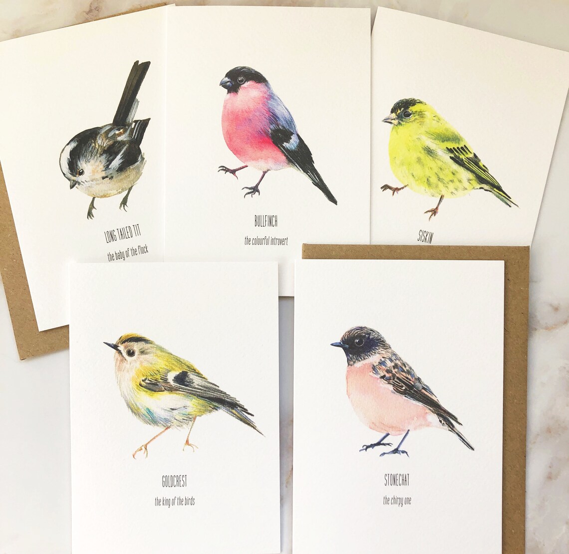 SET OF 5 Illustrated Birds Notelets A6 Greetings Cards | Etsy