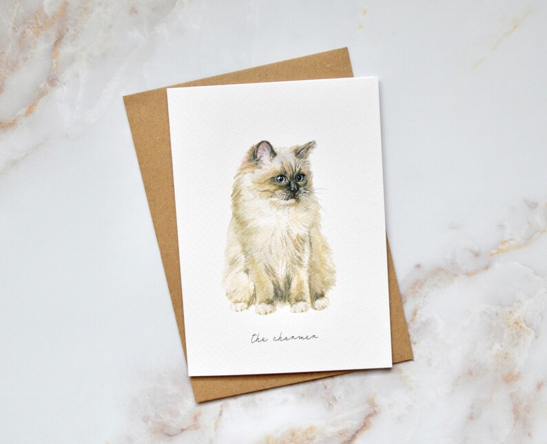 SET OF 5 Illustrated Cat Notelets A6 Size Greetings Cards | Etsy