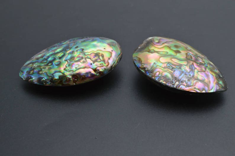 1pc Big Size Natural Abalone Shell Beads - Etsy