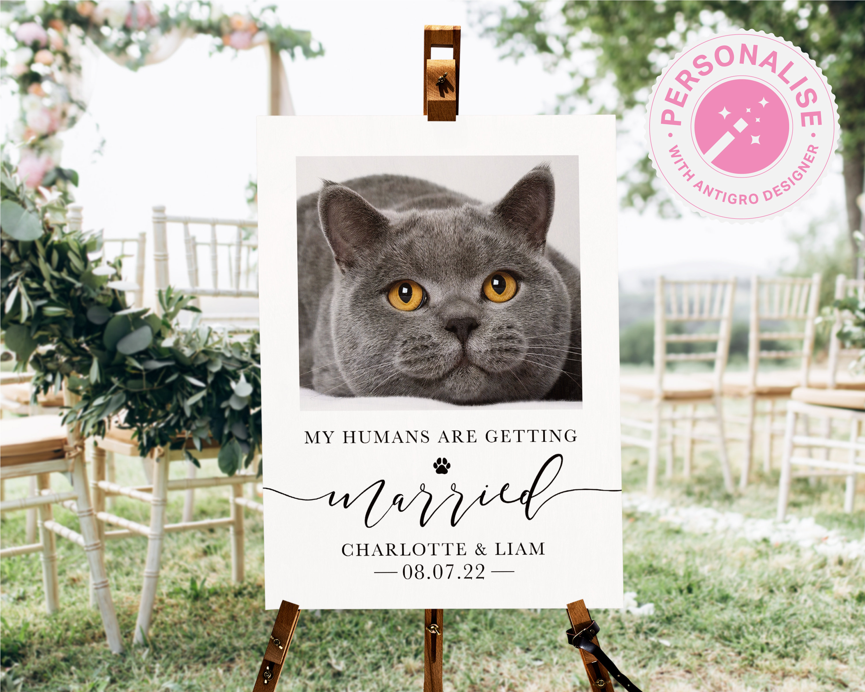 Real Cats Getting Married