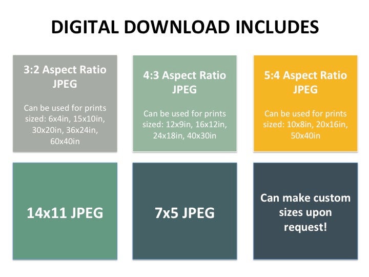 Rainbow Road Art Print Charleston Decor Rainbow Row - Etsy
