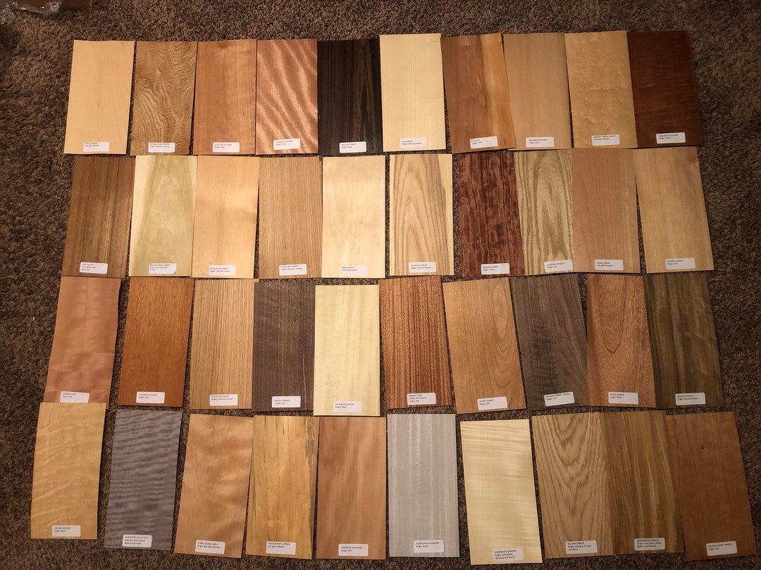 Wood Veneer Art Pack: 40 Labeled Exotic & Domestic Pieces (6" X 12") - Etsy