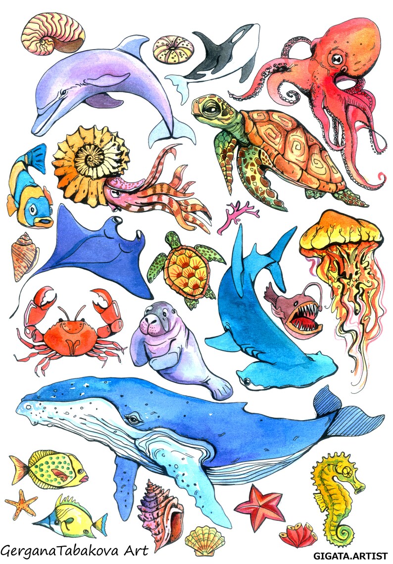 Sea Creatures, Drawing Prints, Vintage Oceanography Print, Fish Poster ...