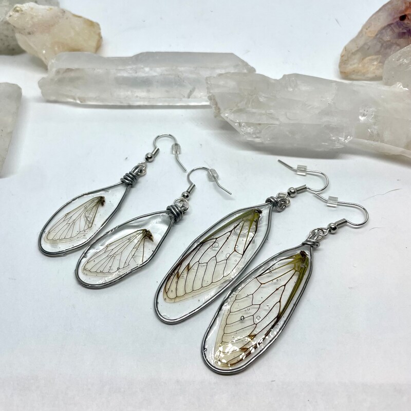 Cicada Wing Earrings - Etsy
