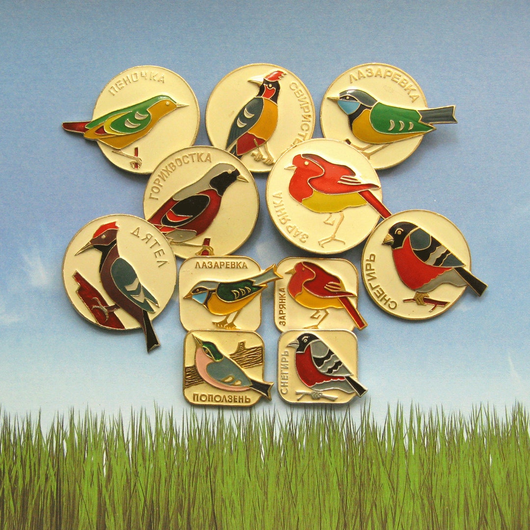 Vintage USSR Bird Pins: Metal Lapel Pins, 80s Charms - Etsy