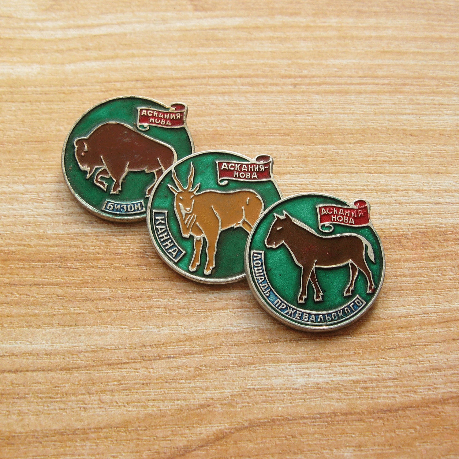 Zoo Pins Wild Animal Pins Swan Pin Ostrich Pin Flamingo | Etsy