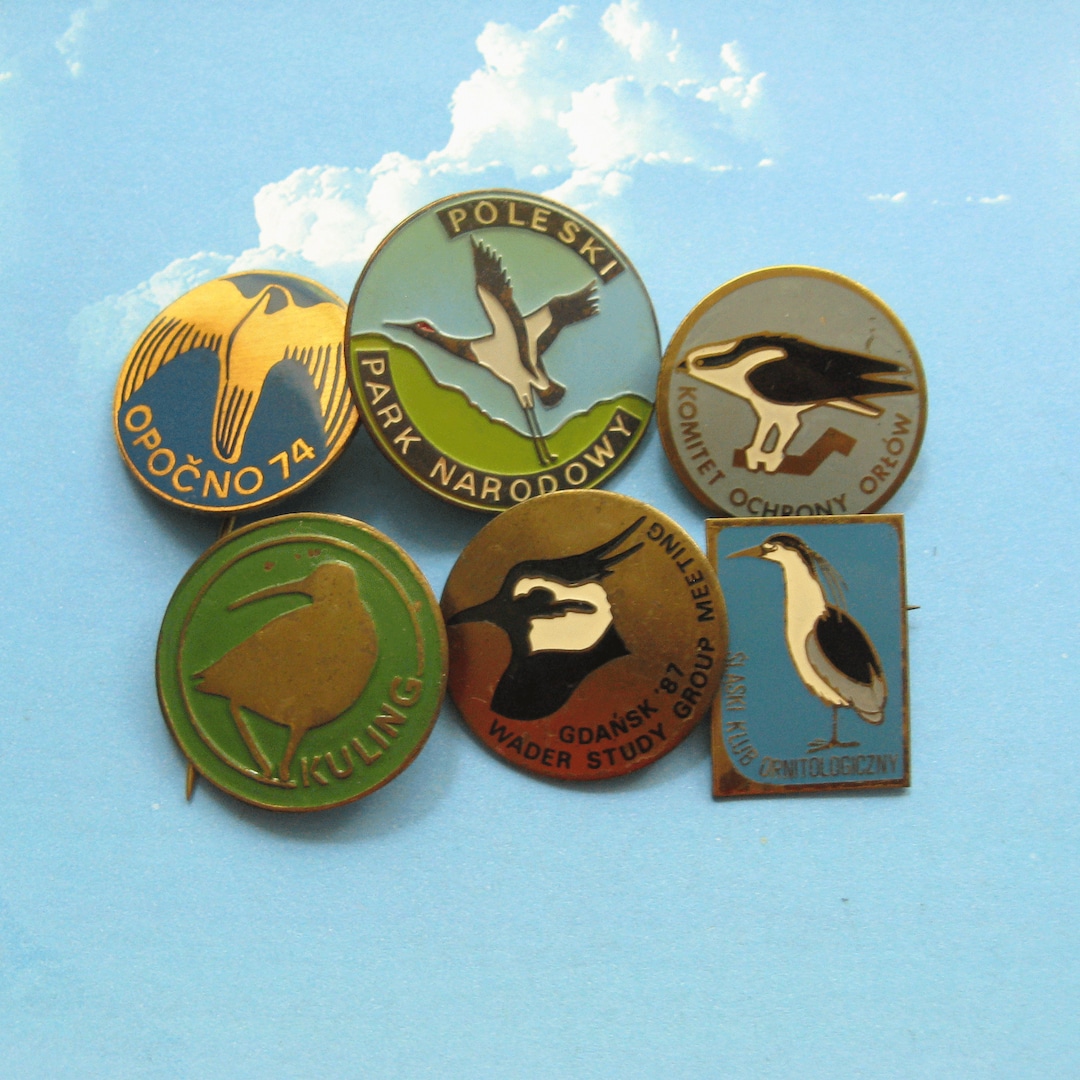 Polish Vintage Birds Pins, Bird Lapel Pin, Birds Charms, Birds Pin ...