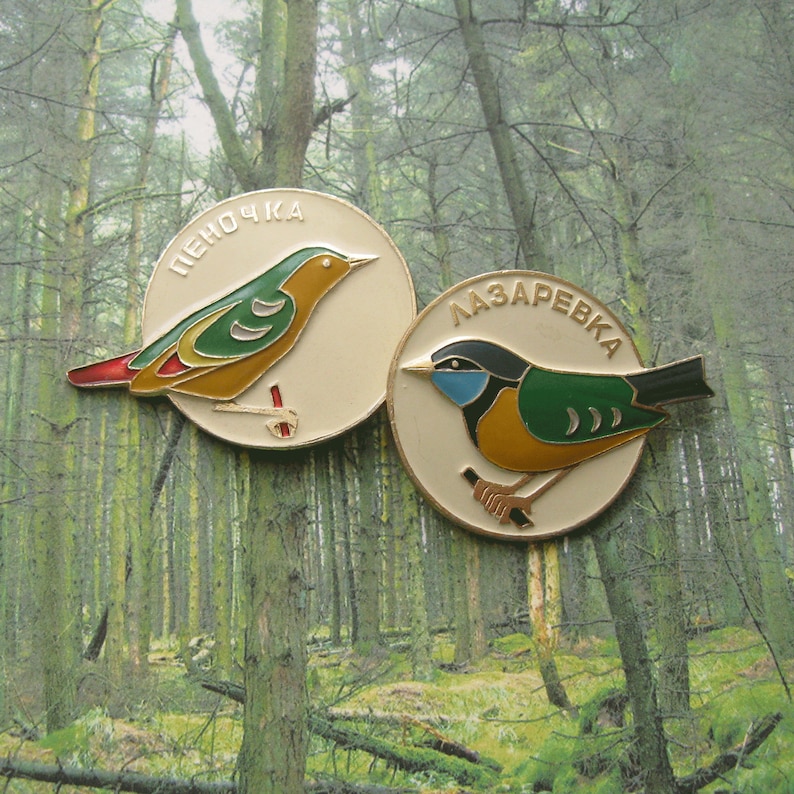 Vintage Birds Pins Bird Lapel Pin Birds Charms Birds Pin - Etsy