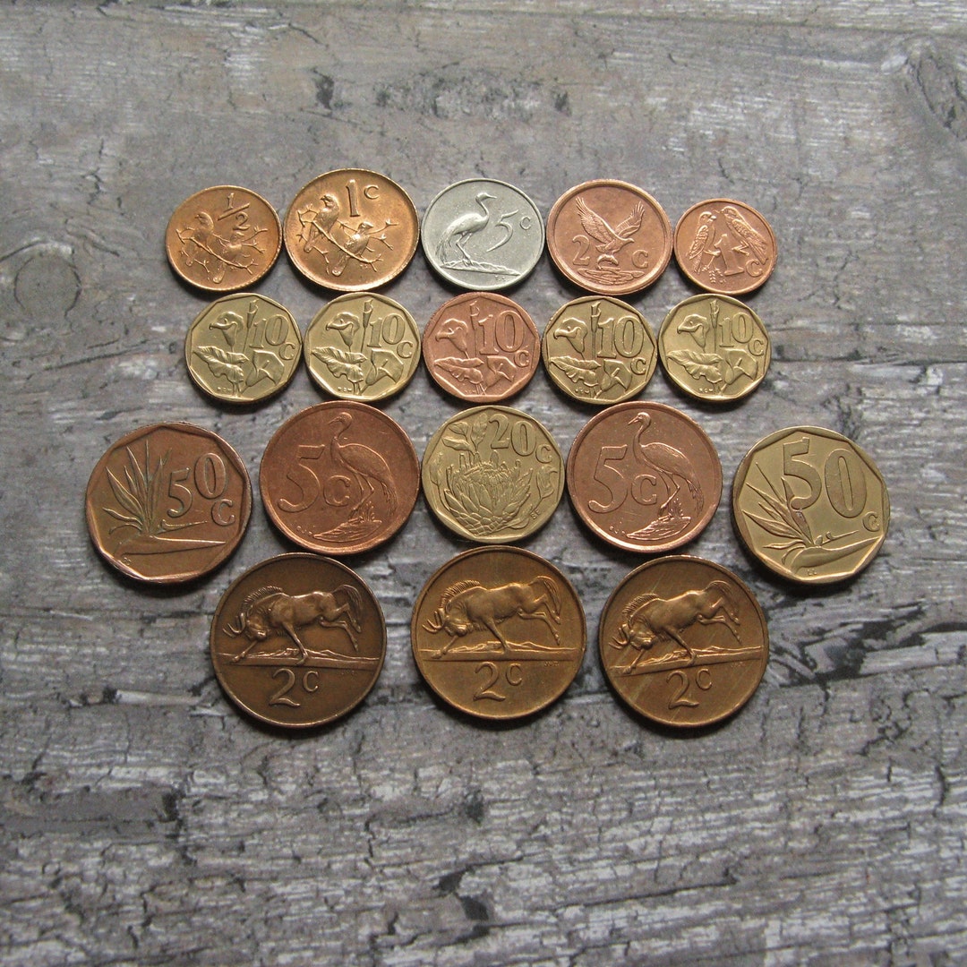 Vintage South African Coin Set: Animals, World Currency (18pc) - Etsy ...