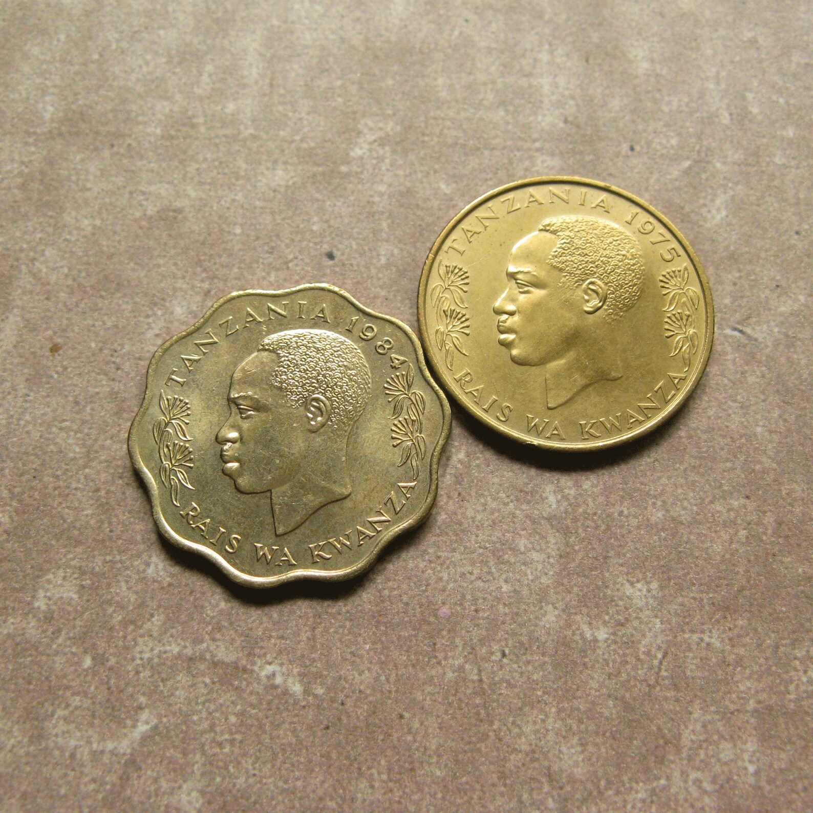 Tanzania Coins Coins from Africa African Coins Tanzanian | Etsy