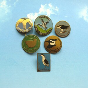 Polish Vintage Birds Pins, Bird Lapel Pin, Birds Charms, Birds Pin ...