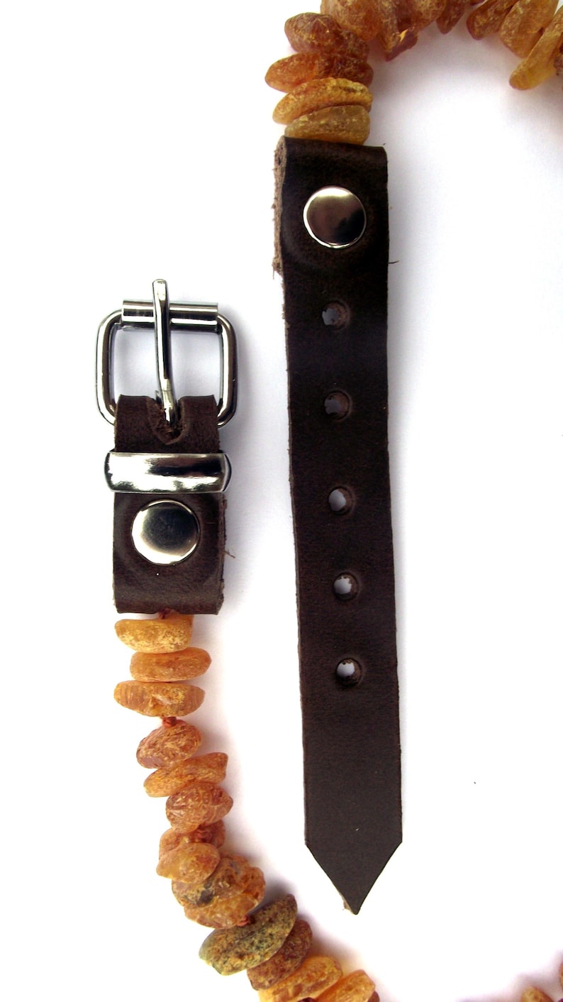 Baltic Amber Collar for Dog, Natural Tick & Flea Repellent Various ...