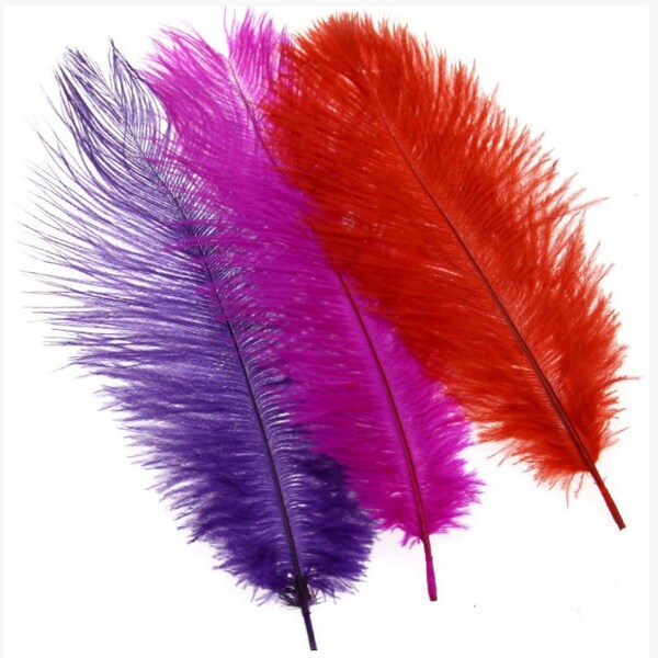 Large Feathers - Etsy