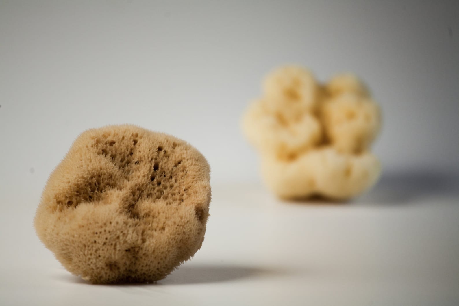 Natural Sea Sponge Fina Silk Type| Sense of Velvet| Kalymnos Island ...
