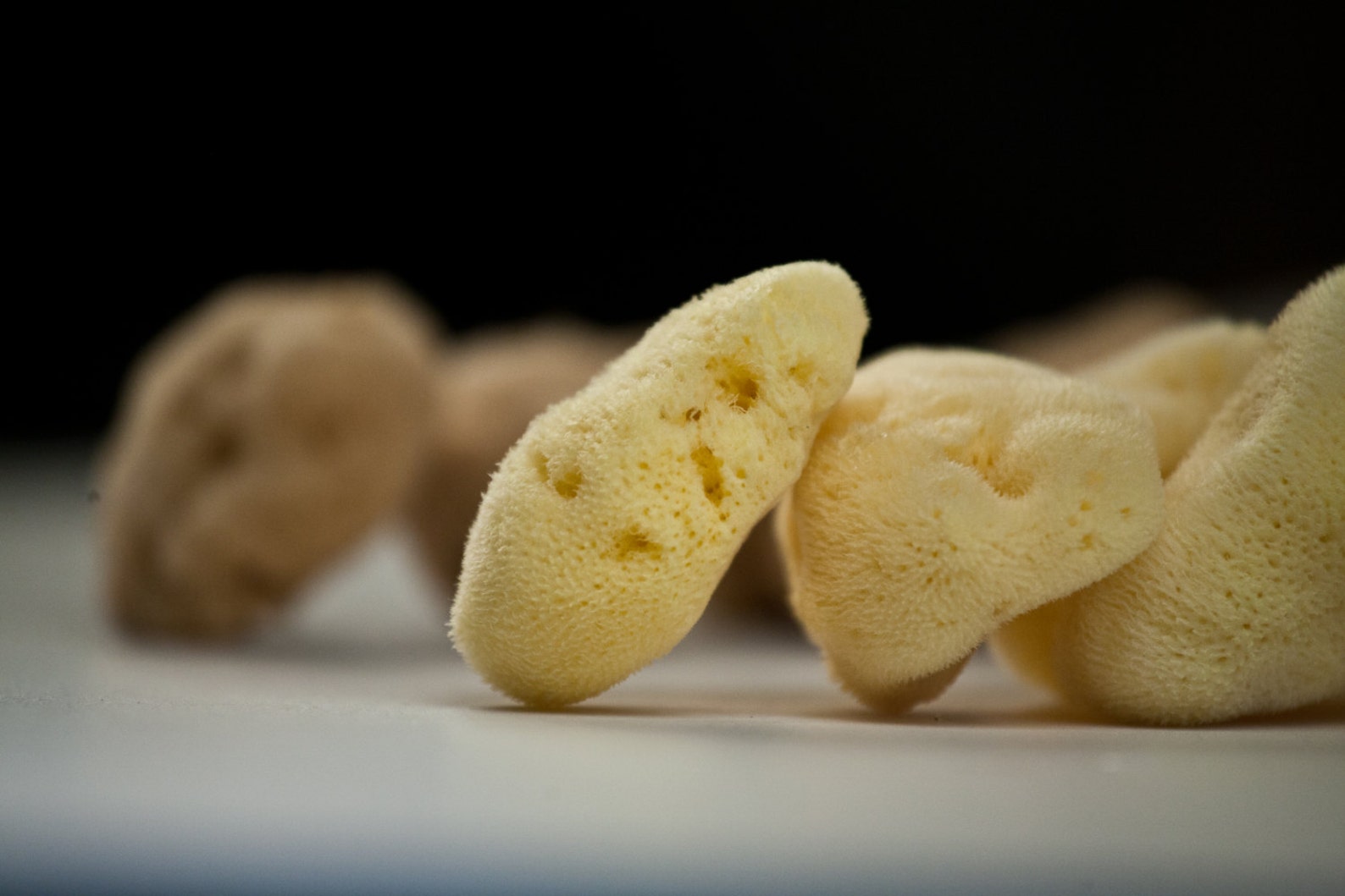 Natural Sea Sponge Fina Silk Type| Sense of Velvet| Kalymnos Island ...