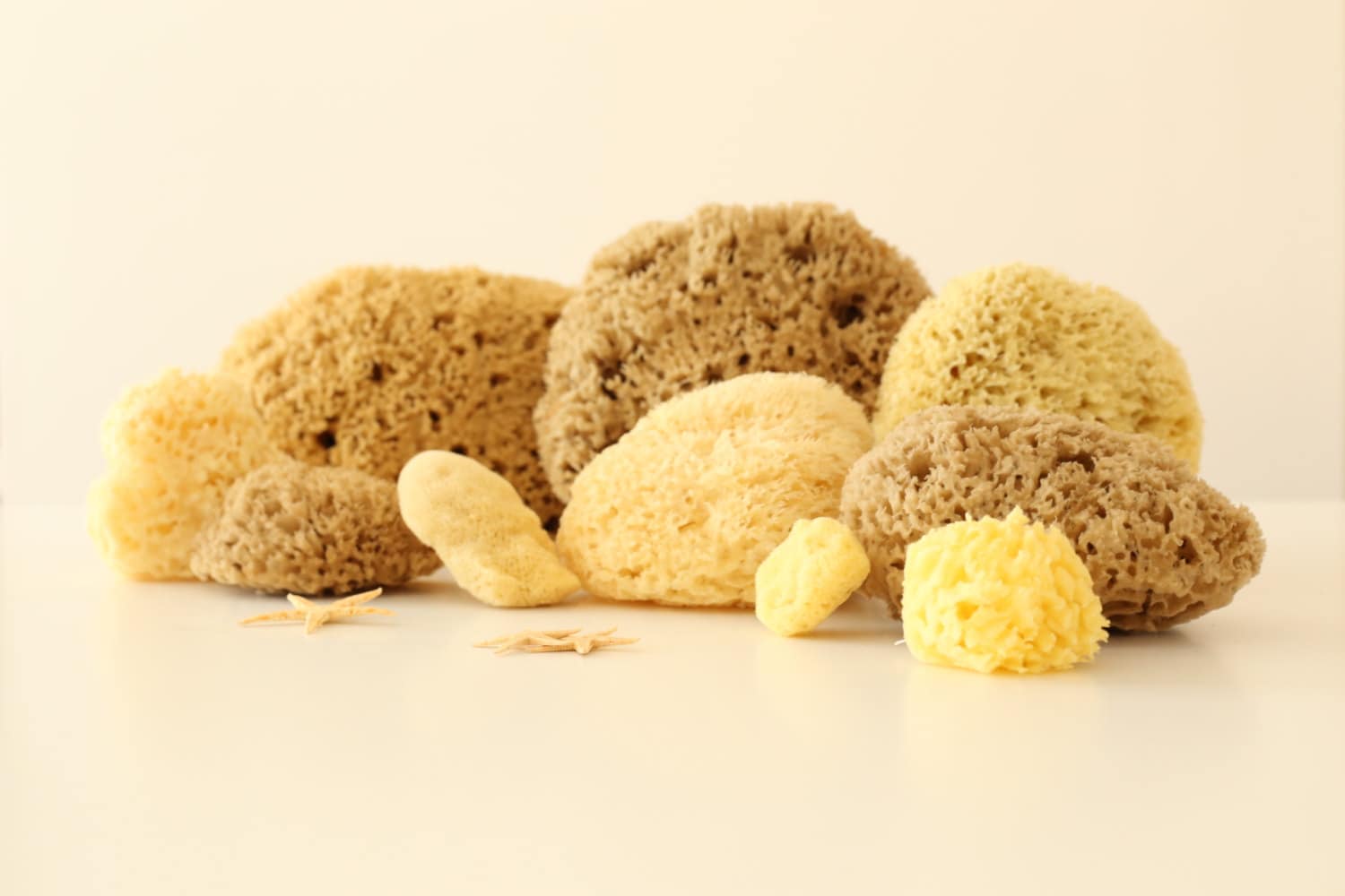 Natural Sea Sponge Family Pack| 10pcs| Honeycomb| Silk| Kalymnos Island ...