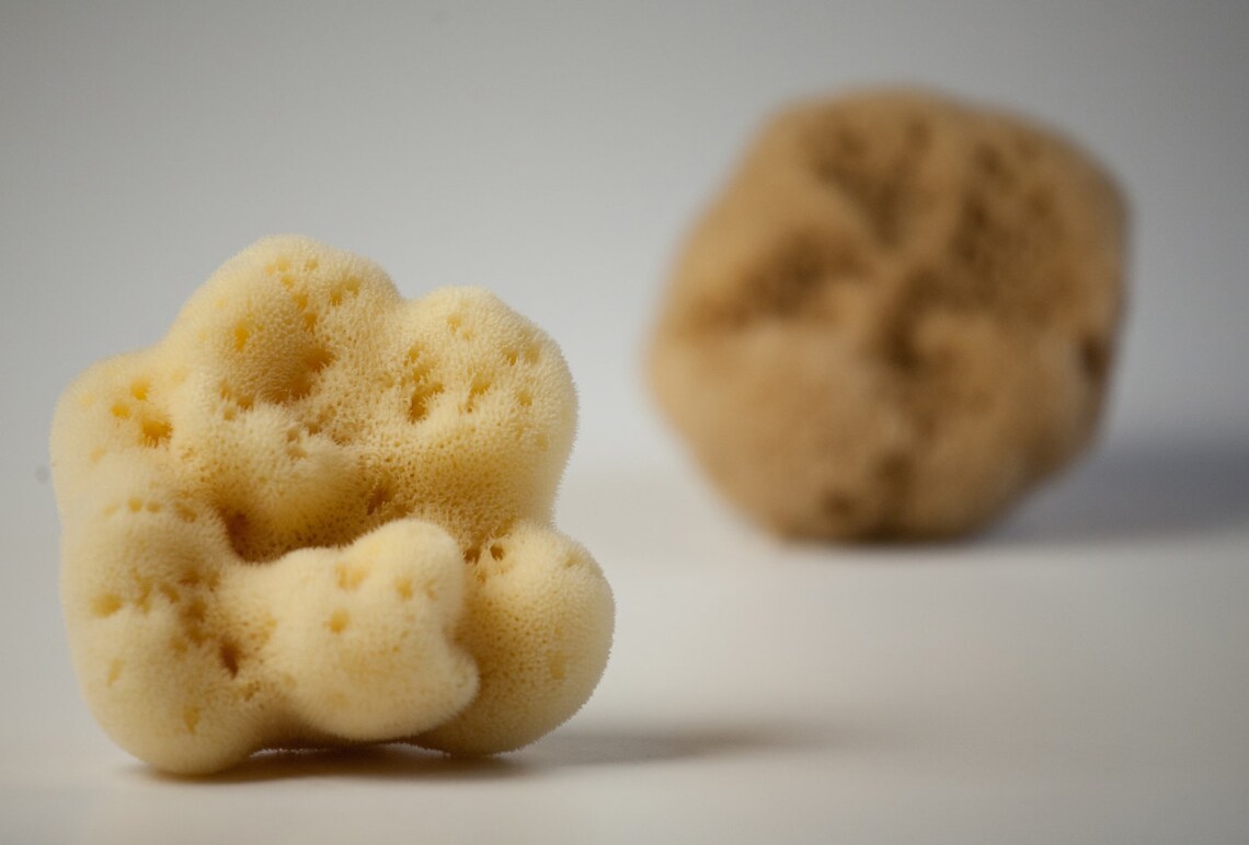 Natural Sea Sponge Fina Silk Type| Sense of Velvet| Kalymnos Island ...