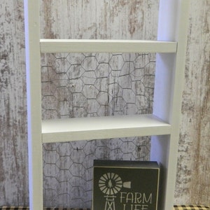 Farmhouse Shelf/chicken Wire Shelf/rustic/white Shelf - Etsy