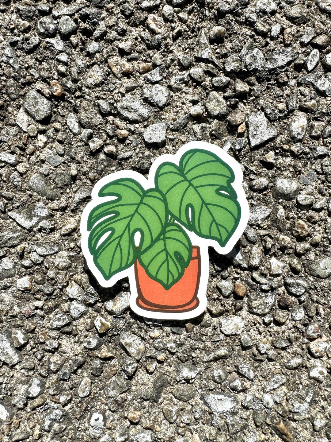 Monstera Sticker Plant Sticker Plant Lover Sticker Die Cut Sticker - Etsy