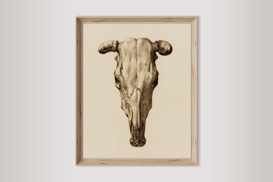 Cow Skull Printable Vintage Art | Western Art | Antique Fine Art Set ...