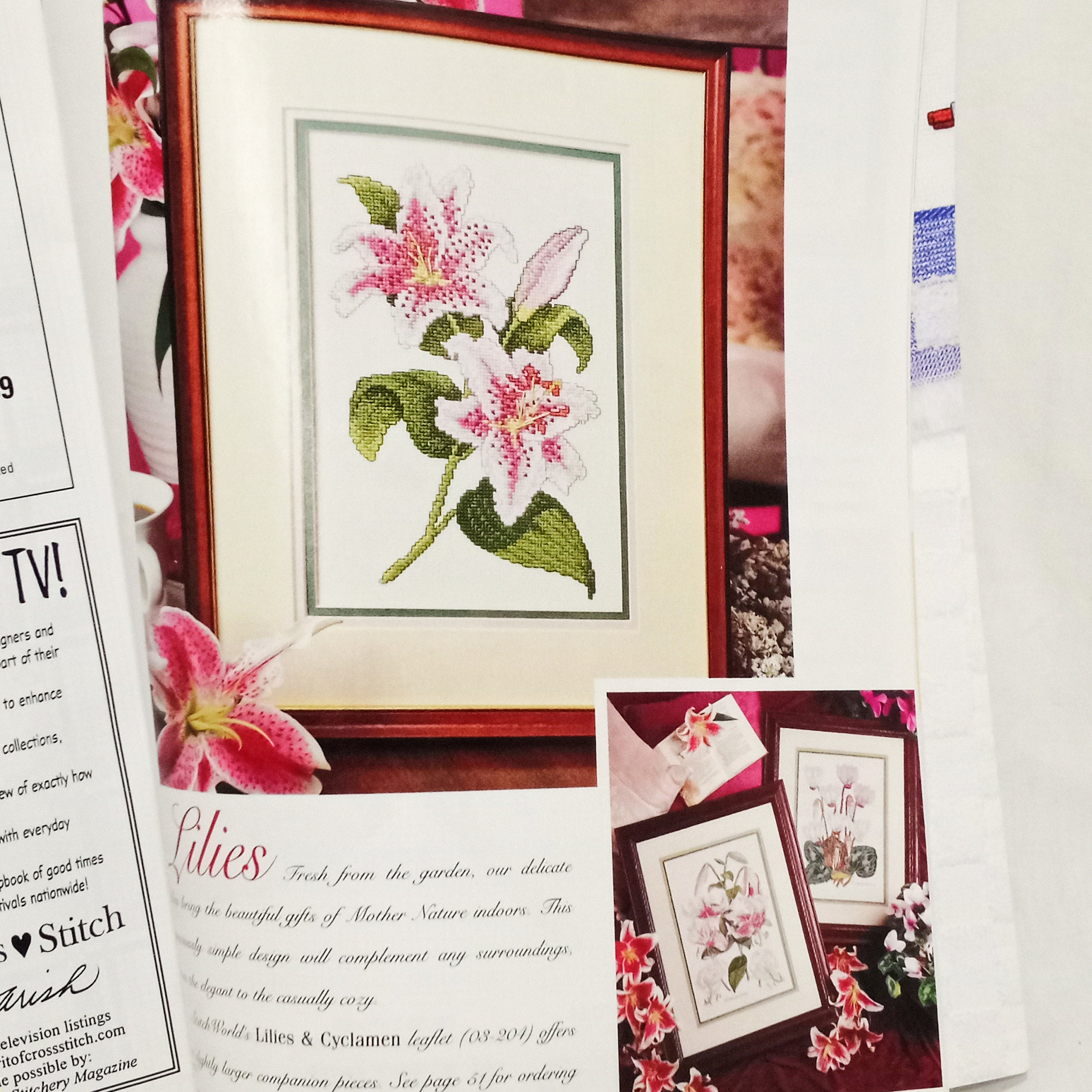 The Stitchery Magazine Cross Stitch Patterns July 1998 Frogs - Etsy