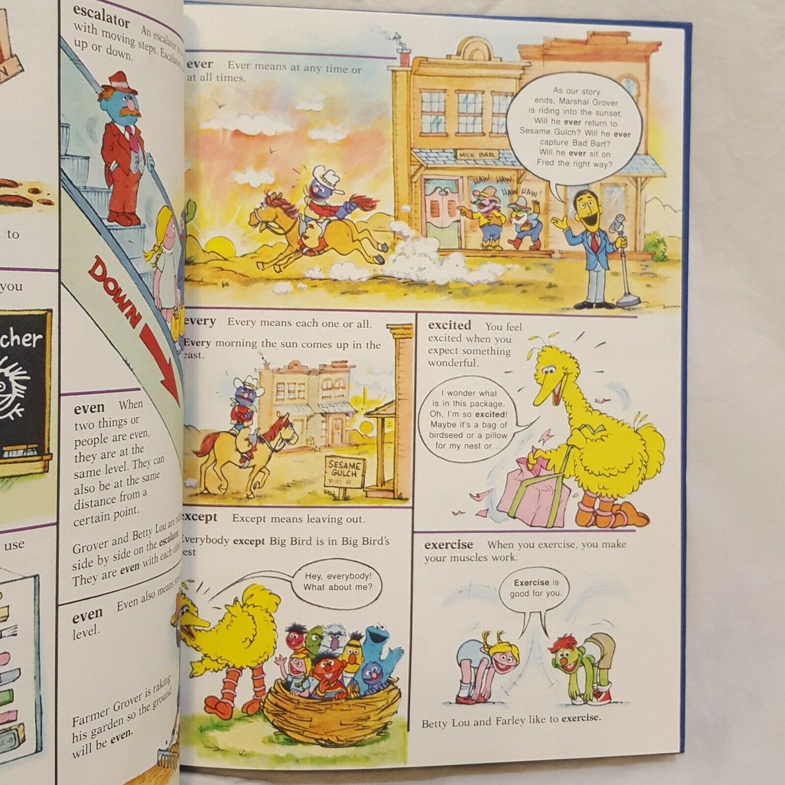 Big Birds Sesame Street Dictionary E - K Book Volume 2 Children ...