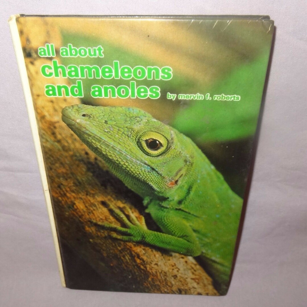 All About Chameleons and Anoles Hardcover Book Mervin F Roberts Lizards ...