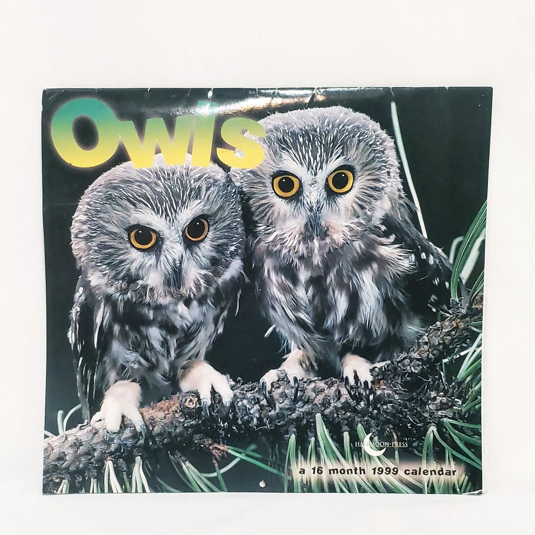 Owls Birds Calendar 1999 Halfmoon Press the Time Factory 16 Months - Etsy