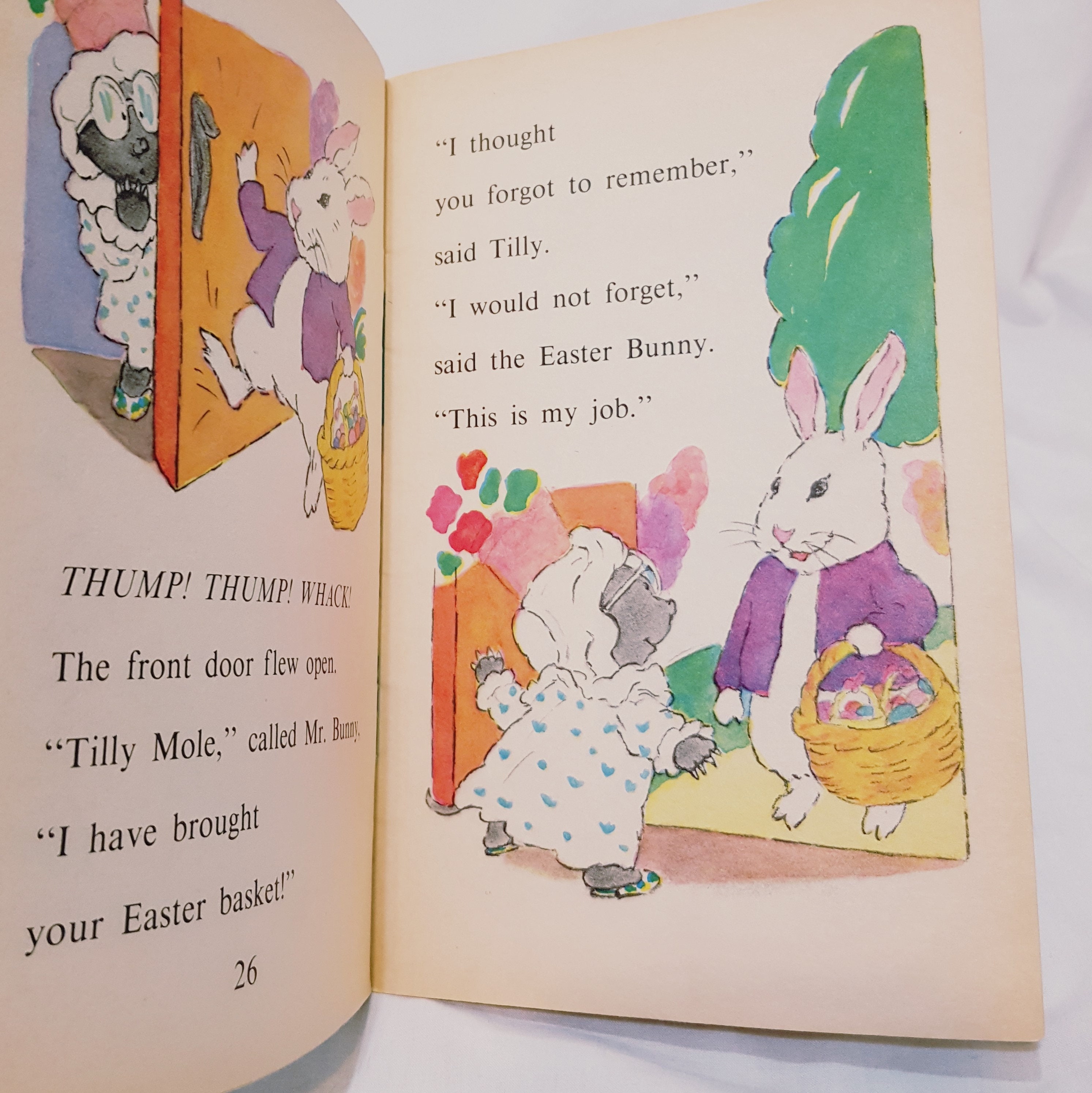 Silly Tilly and the Easter Bunny Hardcover Book 1987 Weekly - Etsy UK