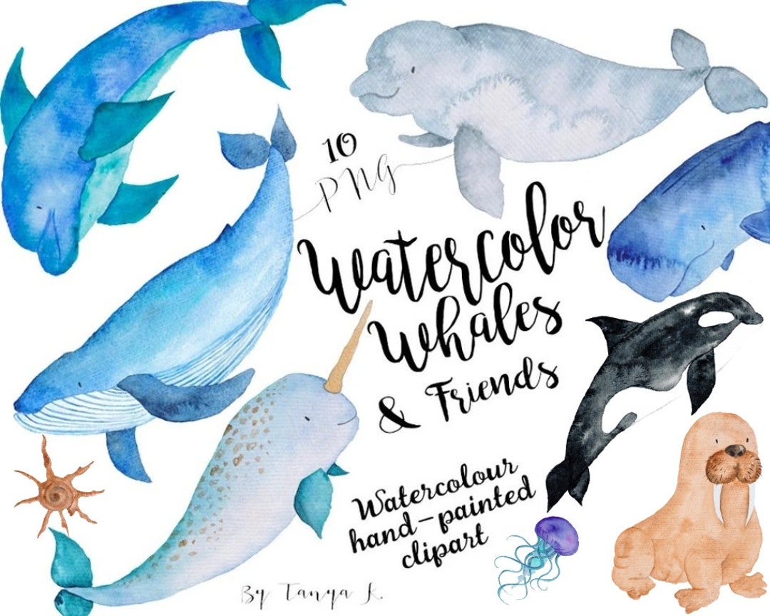 Watercolor Sea Whales Animals Clipart Bundle - Aquatic PNG Ocean Animal ...