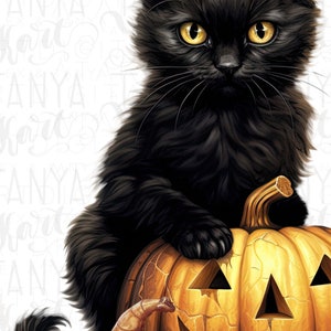 Black Cat Pumpkin Art Print - Cat Design PNG for Autumn Decor, Spooky ...
