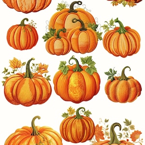 Fall Pumpkin Clip Art Bundle - Sublimation Graphics for Autumn Decor ...