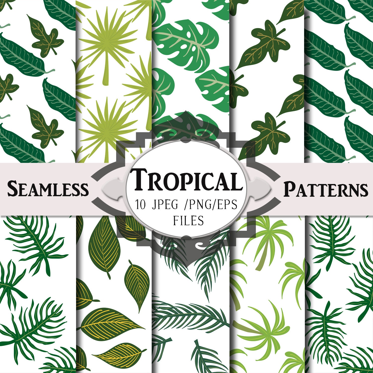 Tropical Leaf Patterns