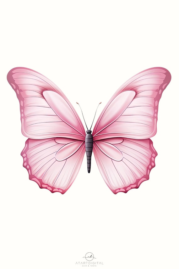 Pink Butterfly Drawing