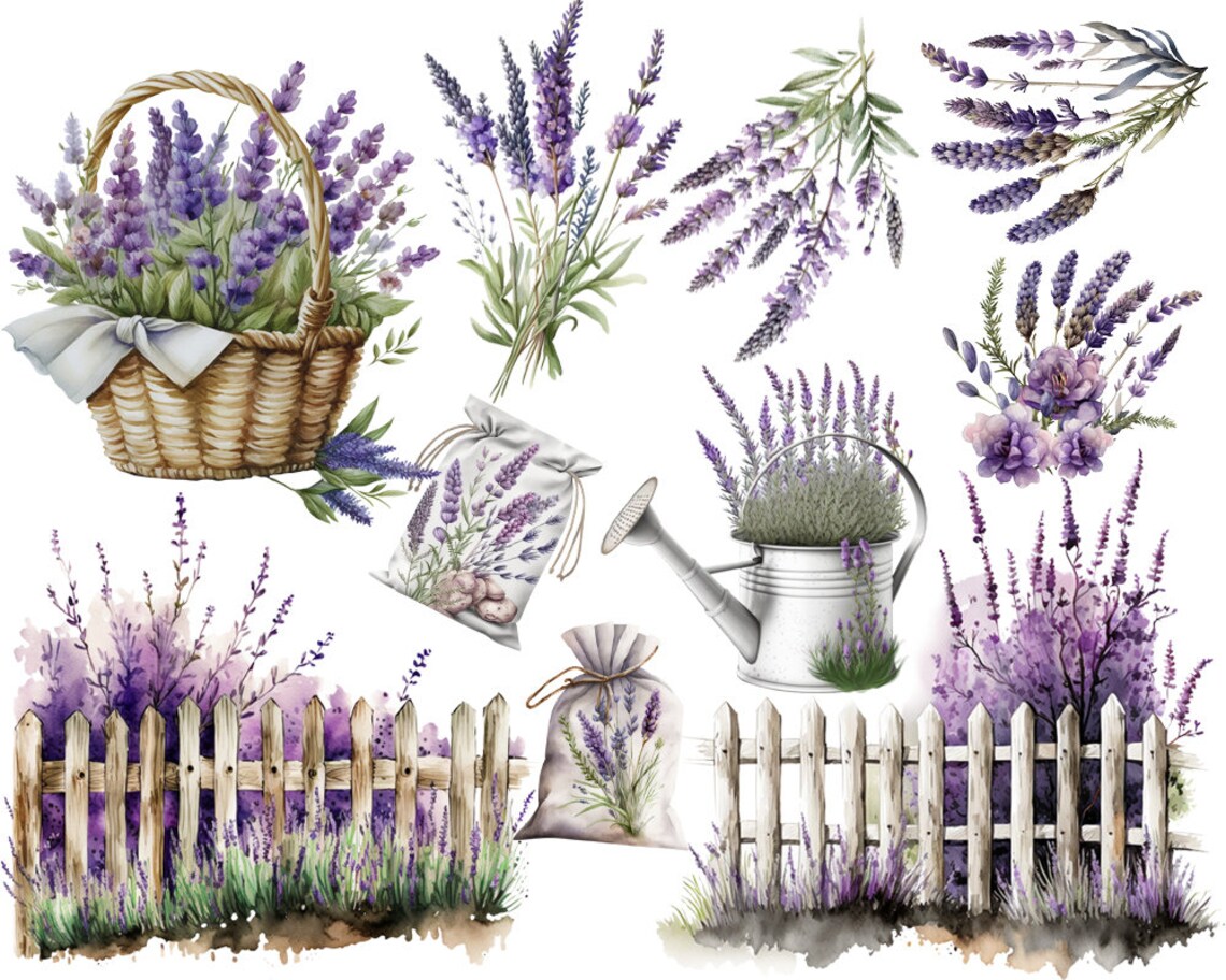 Lavender Png Clipart Watercolor Flowers Blue Floral Clipart - Etsy