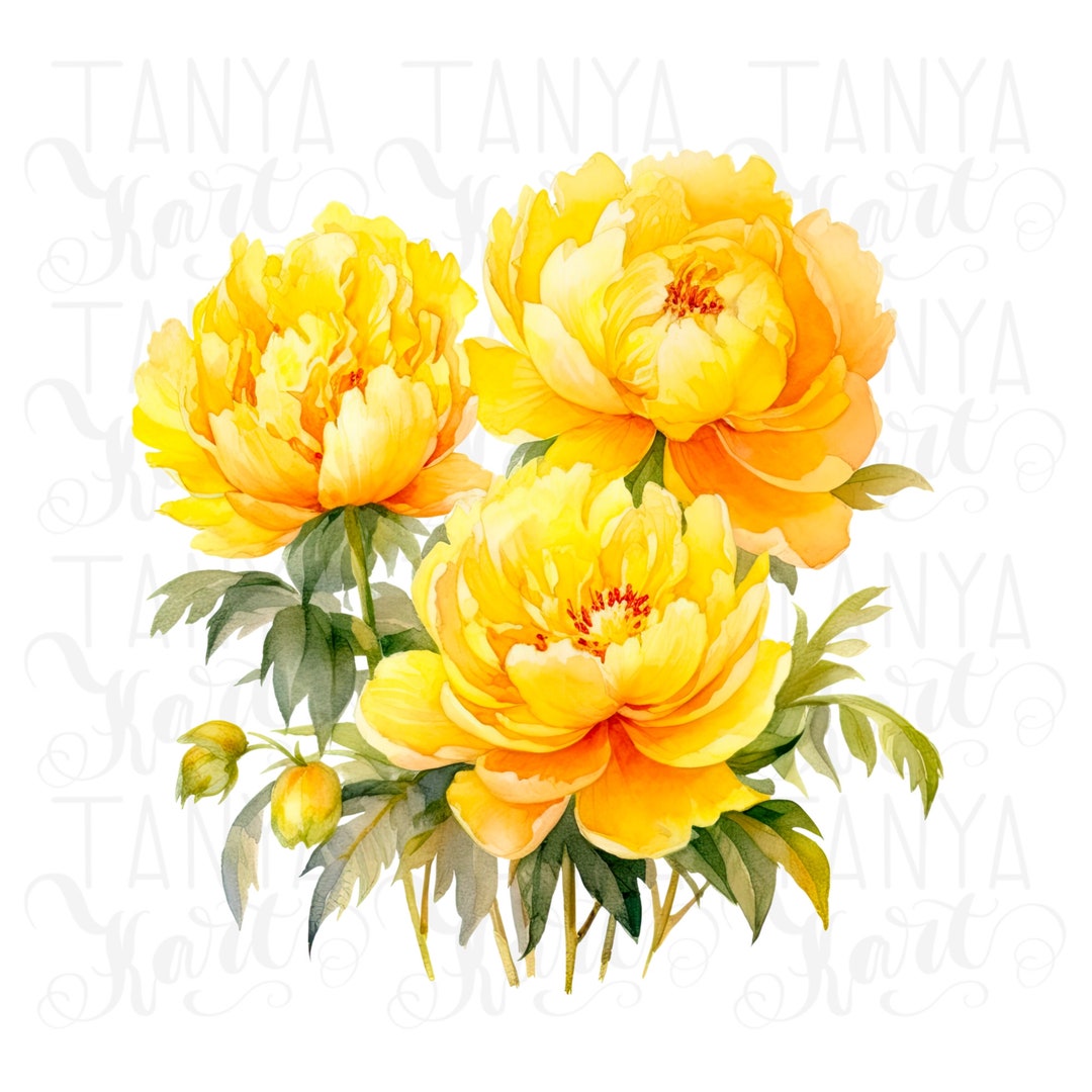 Yellow Peonies PNG Digital Download, Floral Planner Stickers & Wall Art ...
