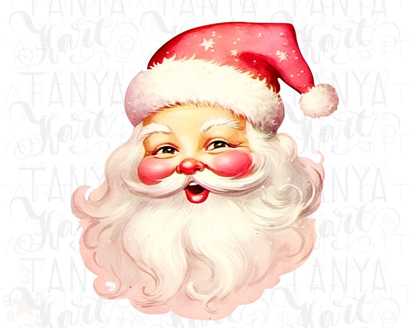 Christmas Santa Claus Face