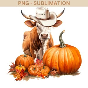 Highland Cow Artwork With Pumpkin, Fall PNG Sublimation Print for ...