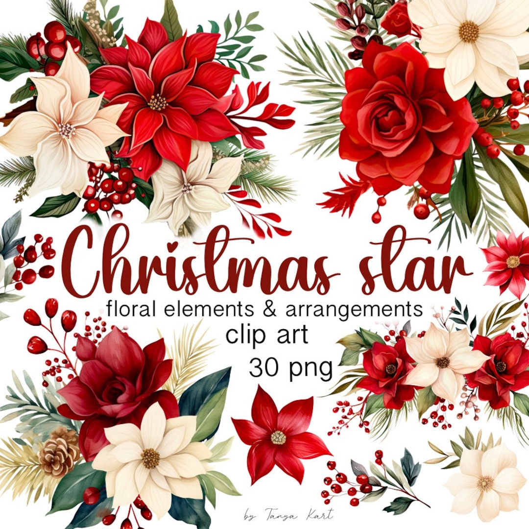 Christmas Floral Clipart Bundle Xmas Bouquet Flowers,red & White Winter ...