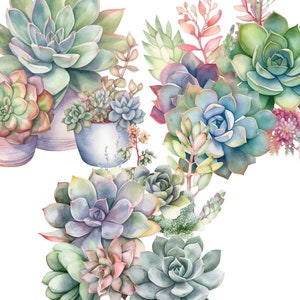 Watercolor Succulent Cactus Png Clipart, Succulent Clipart, Botanical ...