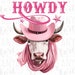 Howdy Sublimation Highland Cow Art Pink Cow Print PNG - Etsy