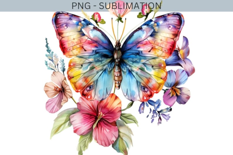 Floral Butterfly PNG: Spring Sublimation Design (digital Download) - Etsy