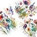 Meadow Flowers, Floral Clipart, Spring Design Png, Spring Flowers ...