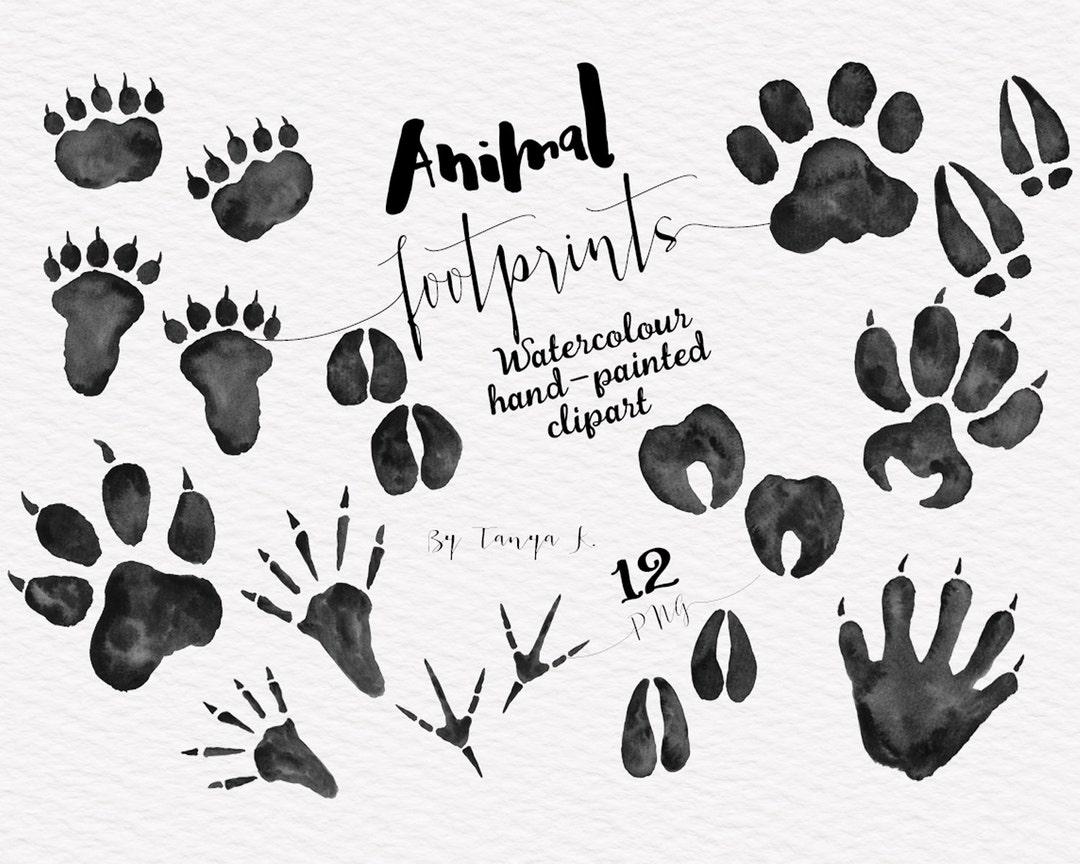 Watercolor Animal Footprint Clipart: Handpainted PNG Files (commercial ...