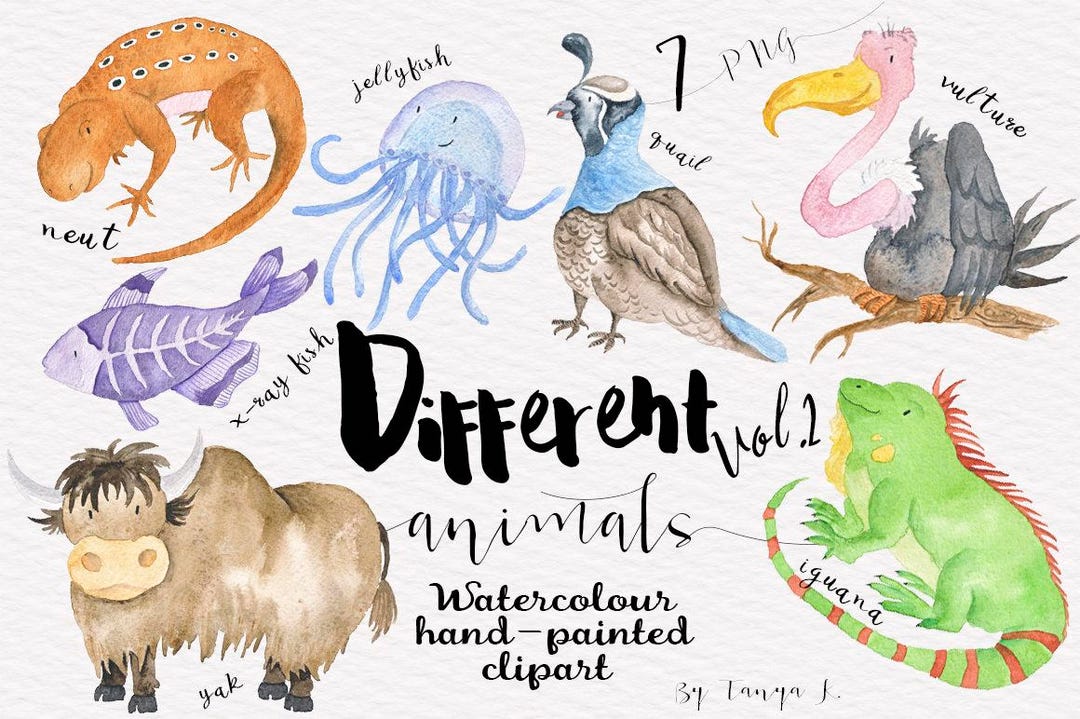 Watercolor Animals Clipart Set, Hand-painted Cute Animals Graphic for ...
