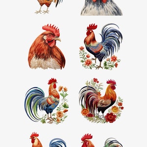 Farm Animals Clipart, Roosters, Birds PNG Designs, Instant Download for ...