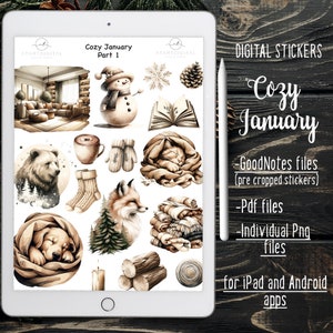 Digital Stickers Cozy January Aesthetic Goodnotes Planner Icons ...