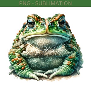 Cute Toad Transparent PNG Digital Downloads for DIY T-shirt Designs and ...