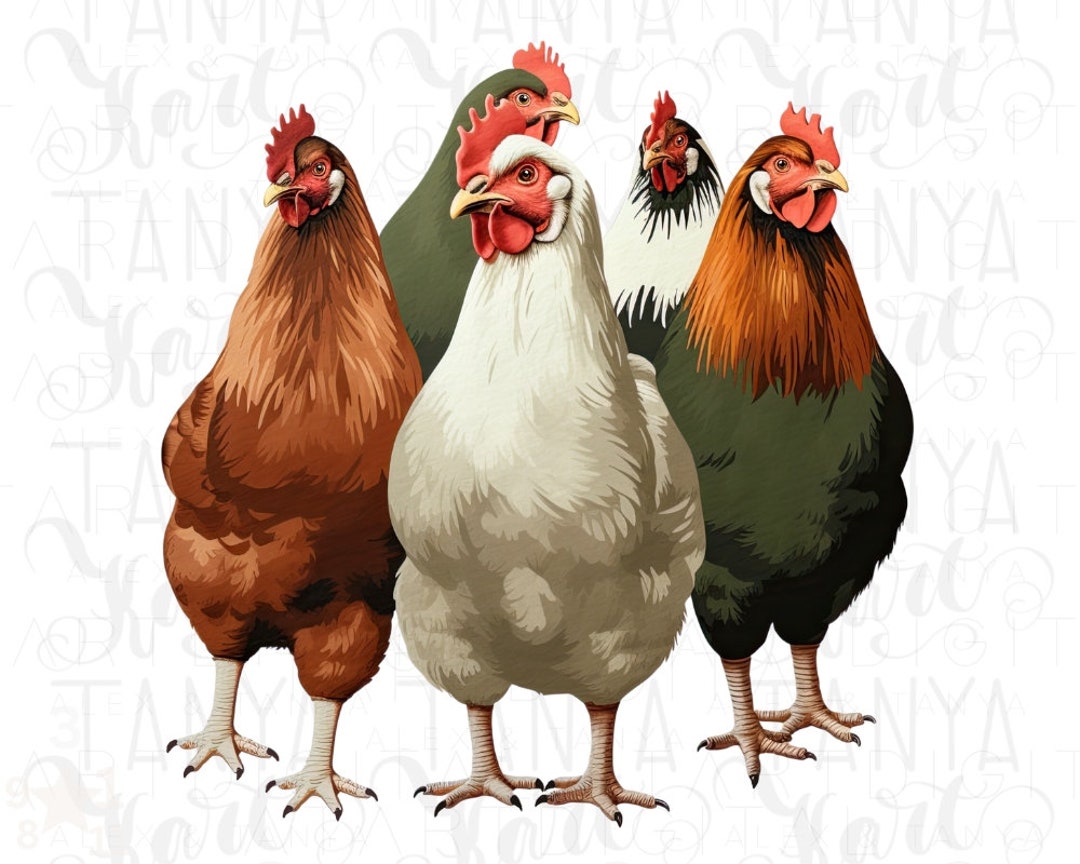 Farm Life Png Graphic With Chicken for Sweatshirt & Chicken Lovers ...