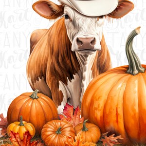 Highland Cow Artwork With Pumpkin, Fall PNG Sublimation Print for ...